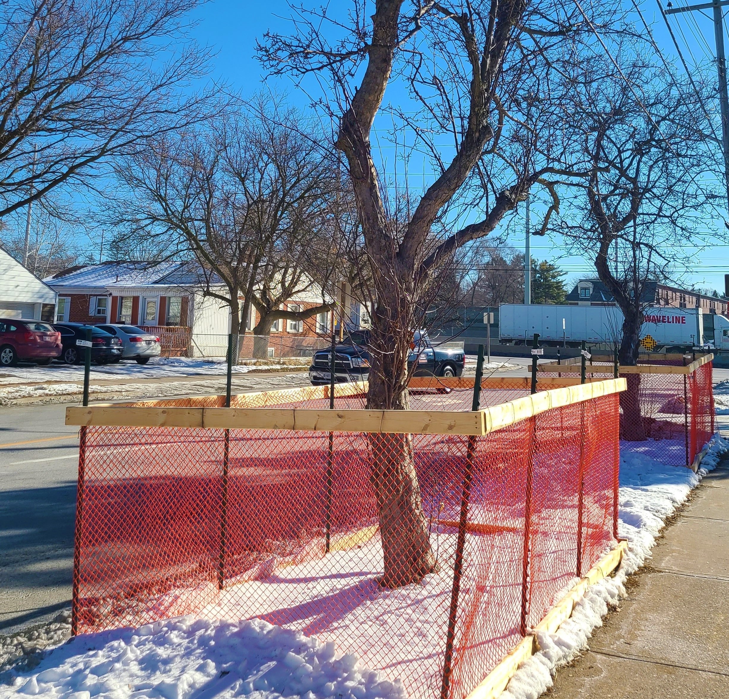 Tree Protection Zone Greater Toronto Area | Fencing Installation